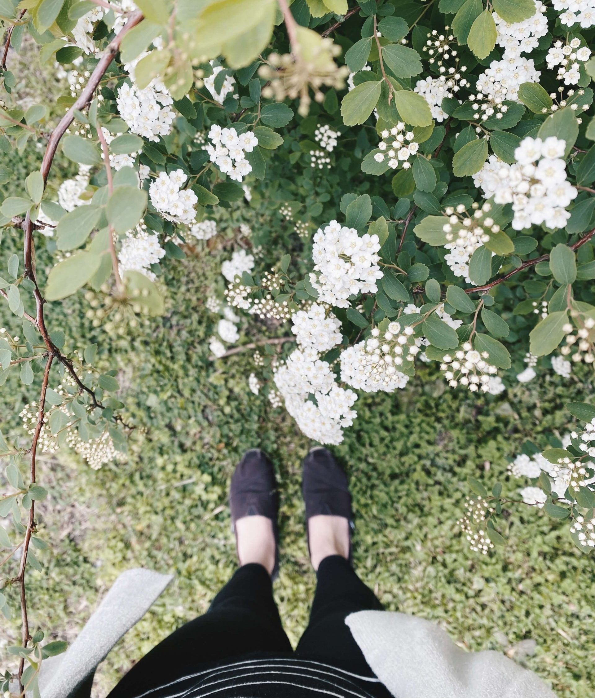 All Things Allison Marie – I'm in this with you, friend